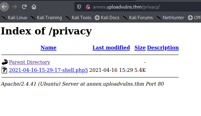 Upload Vulnerabilities On Tryhackme The Dutch Hacker